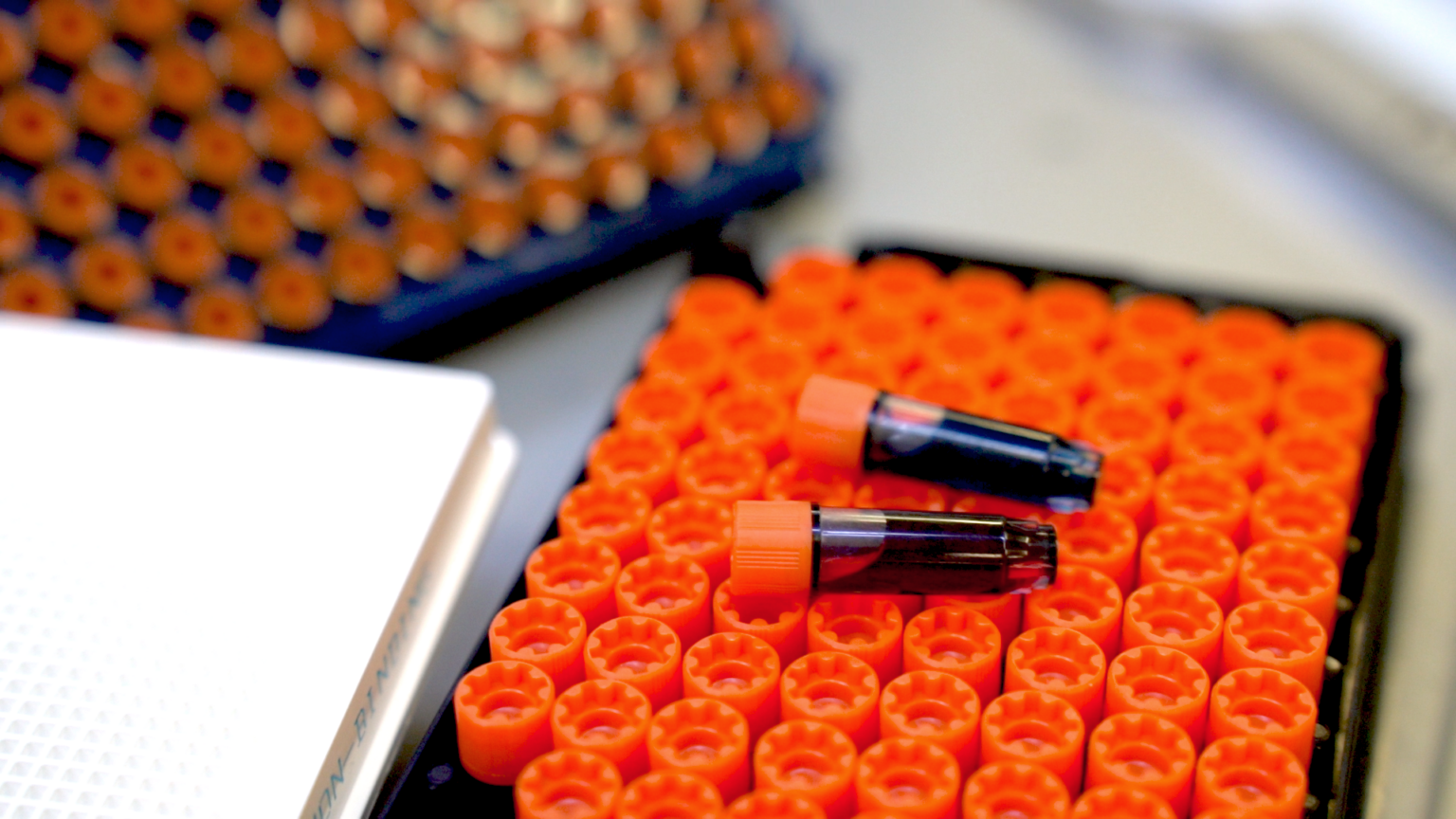 Therapeutic Innovation Australia – Enabling research translation